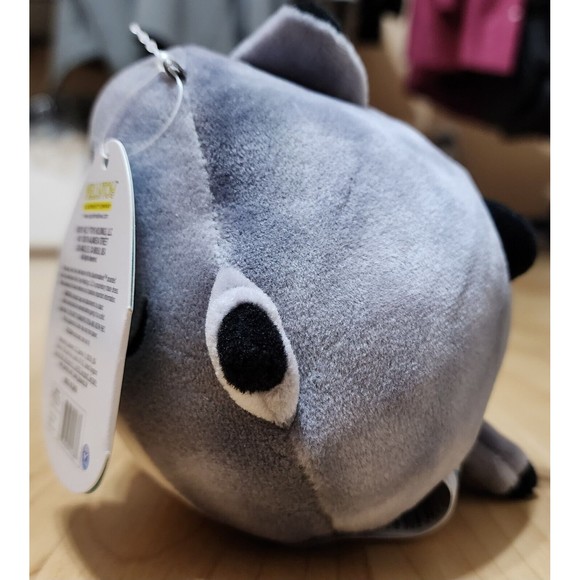 Kellytoy | Toys | Squishmallow 5 Gordon Shark Walgreens Exclusive Gray ...